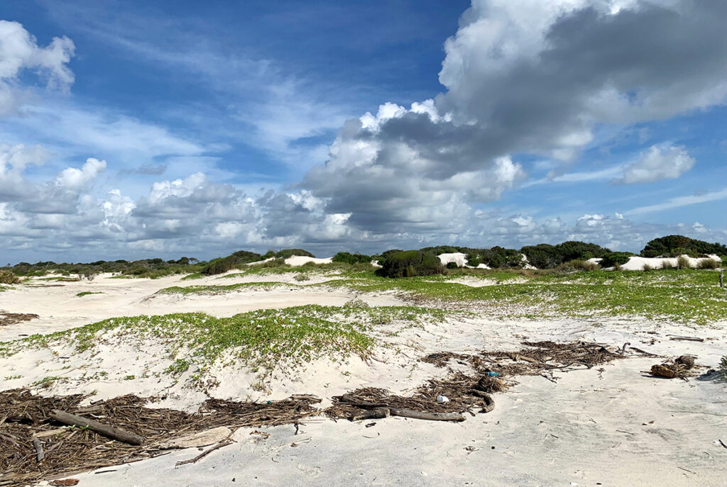 The Gulf Coast’s Barrier Islands – South Mississippi Living